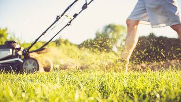 10 Best Brush Clearing Tools For Your Overgrown Land - Alovegarden.com